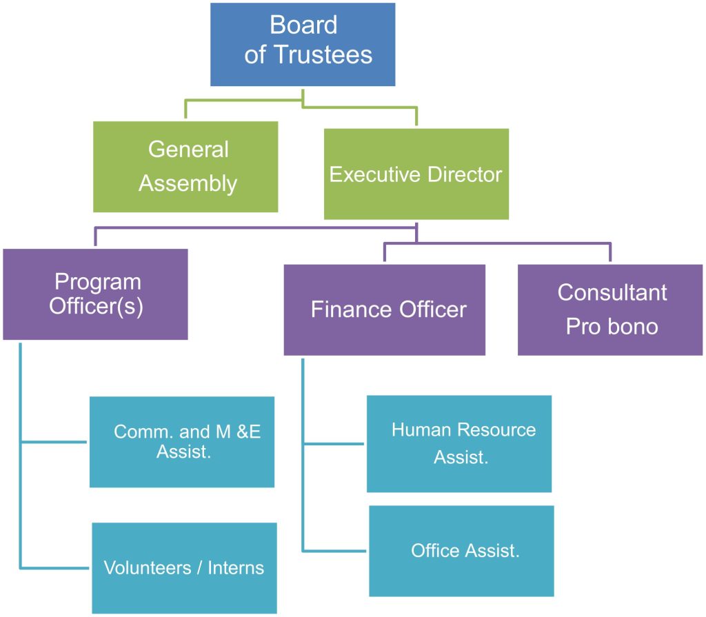 Organization Chart Napvid Network For The Advancement Of People